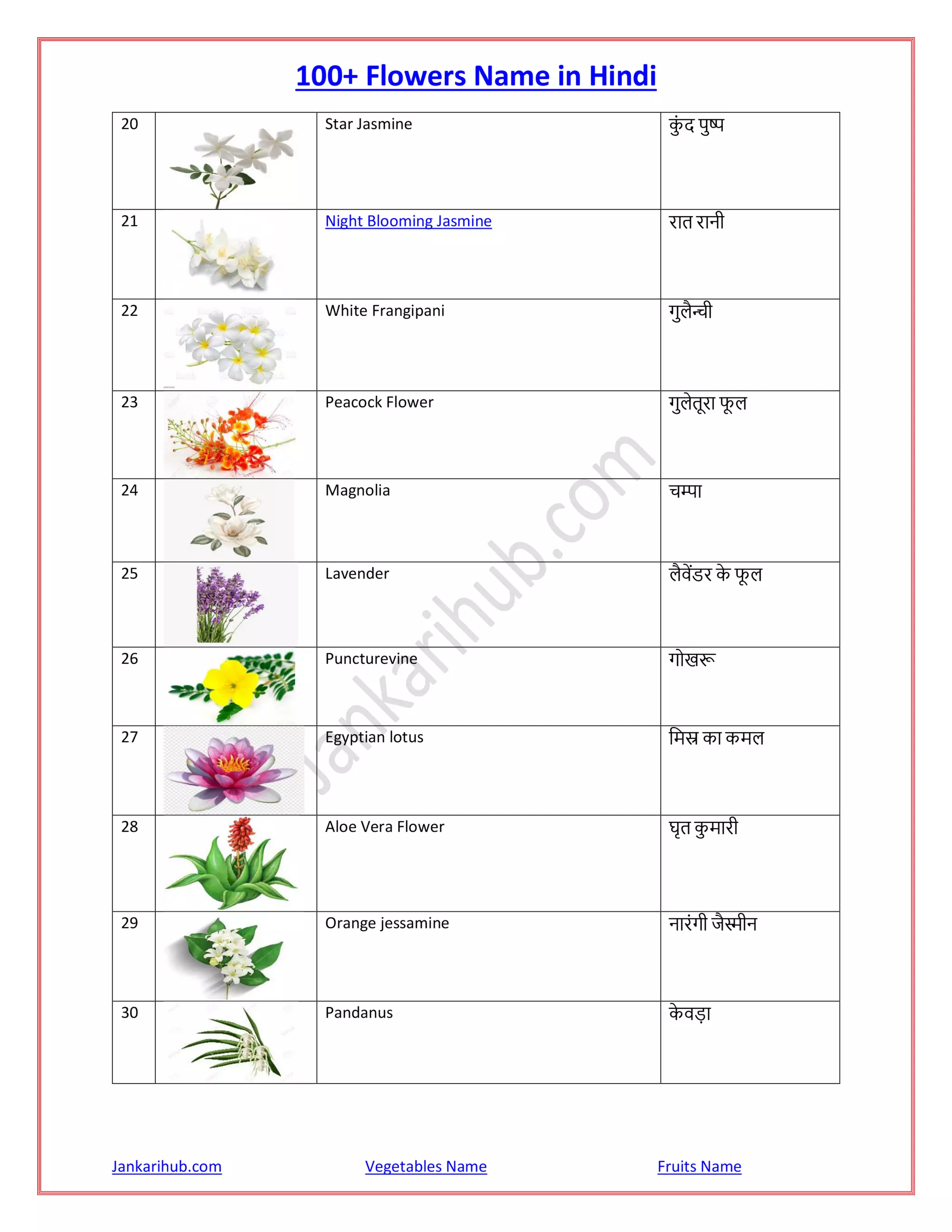 Flowers Name in Hindi and English | 100 फूलों के नाम हिंदी और अंग्रेजी ...