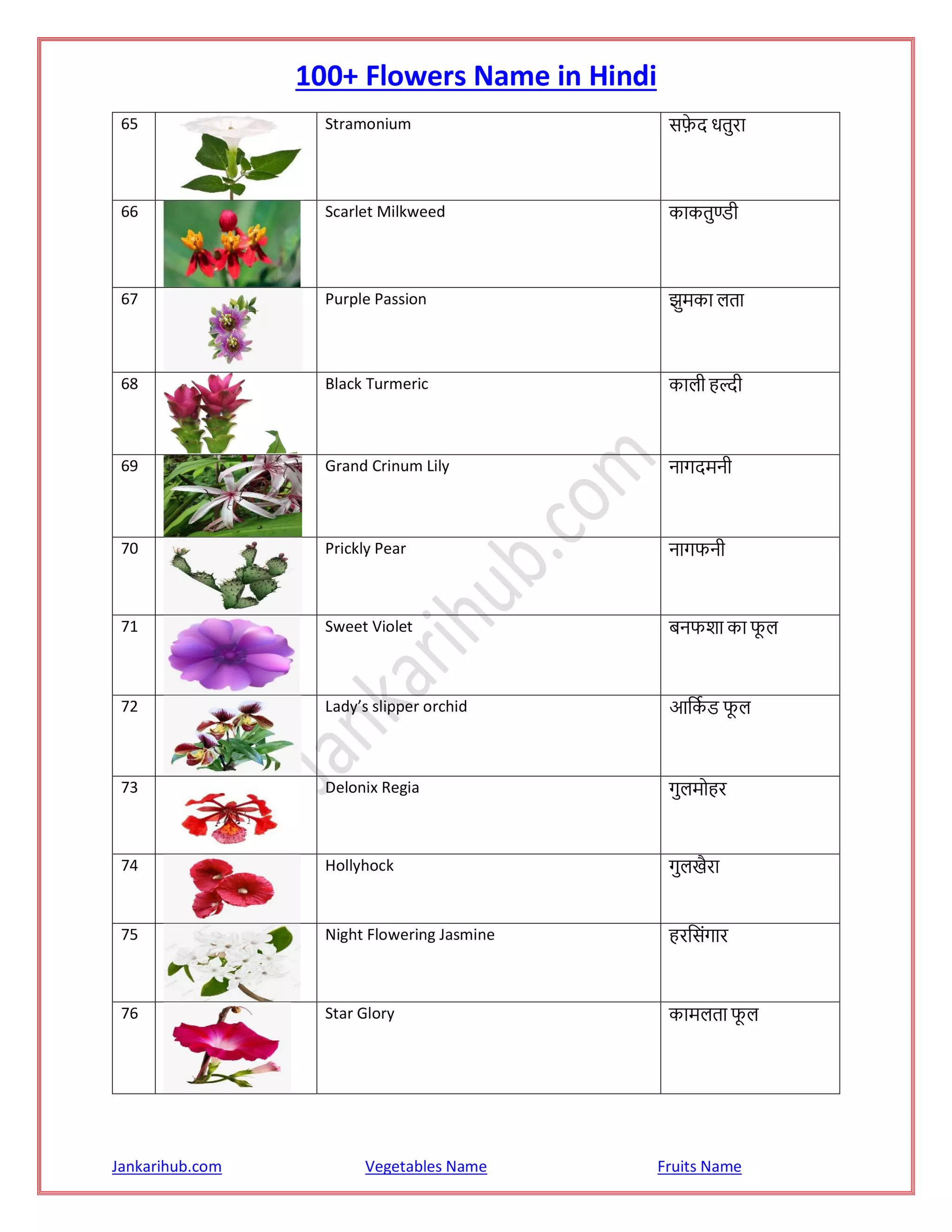 Flowers Name in Hindi and English | 100 फूलों के नाम हिंदी और अंग्रेजी ...
