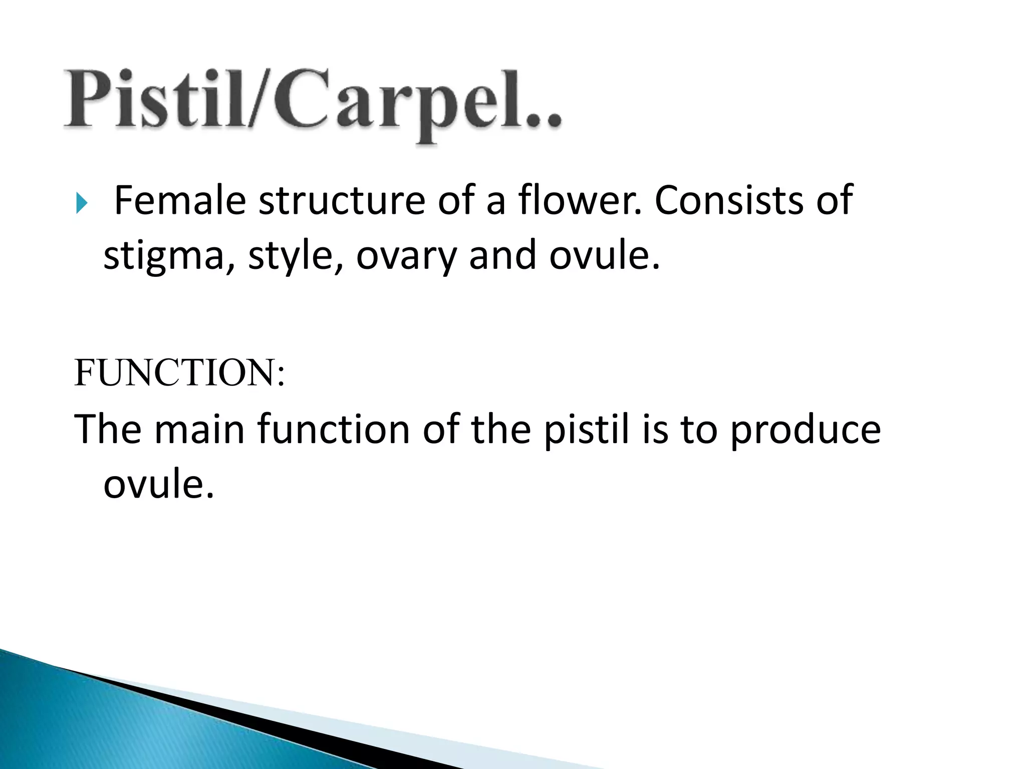 Flowers: Parts and Functions | PPTX