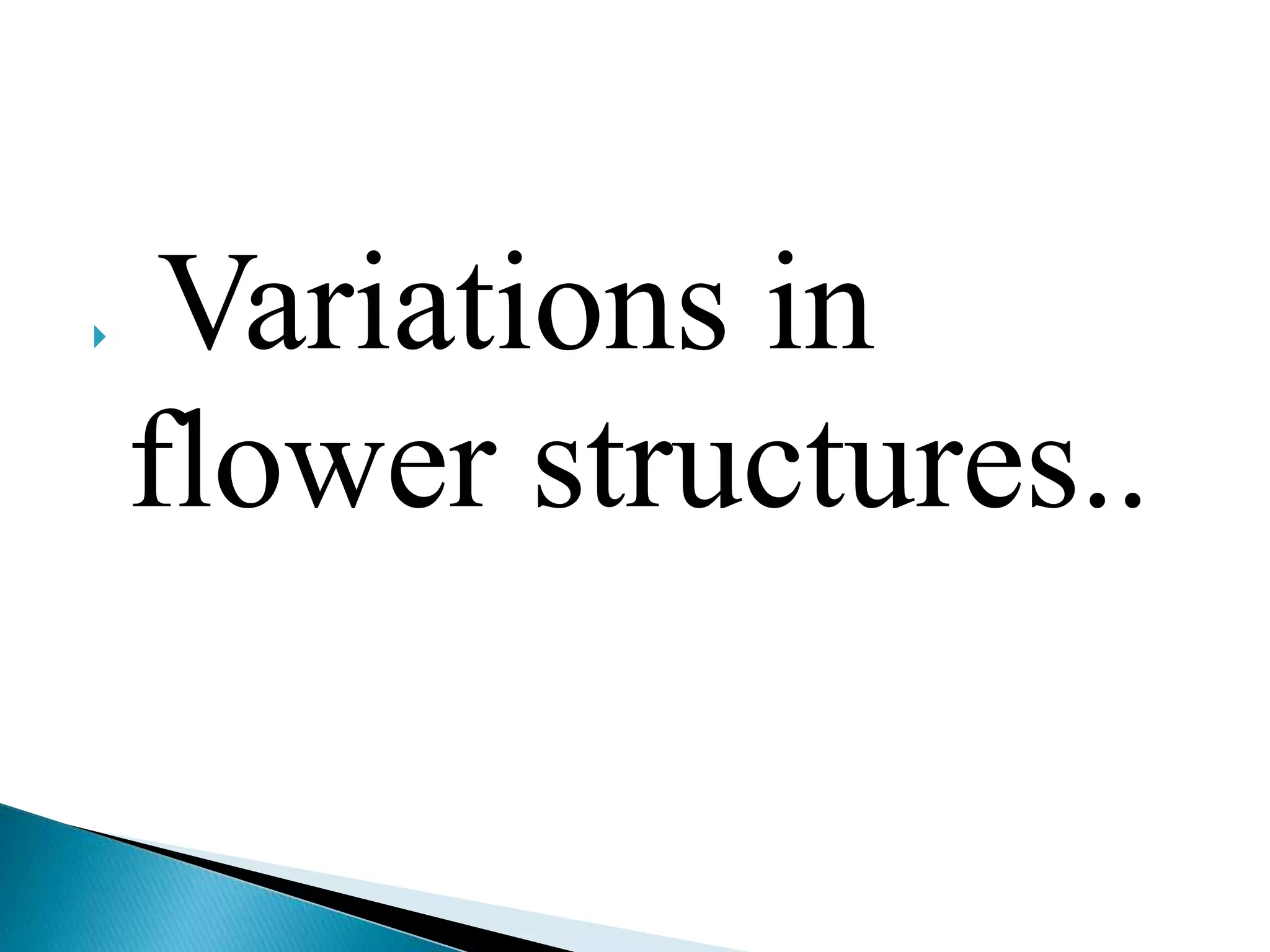 Flowers: Parts and Functions | PPTX