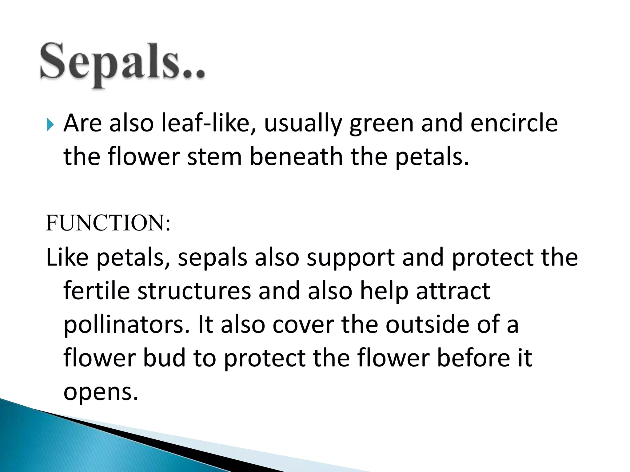 Flowers: Parts and Functions | PPTX