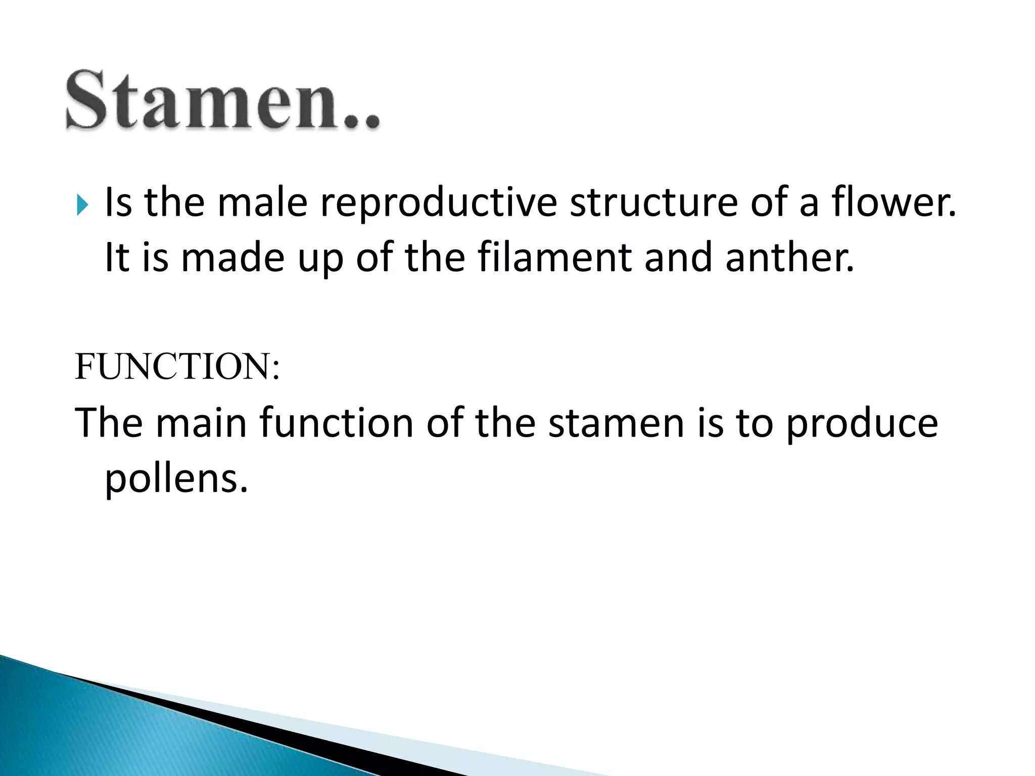 Flowers: Parts and Functions | PPTX