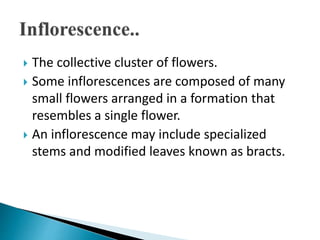 Flowers: Parts and Functions | PPTX
