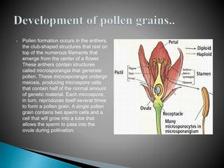 Flowers: Parts and Functions | PPTX