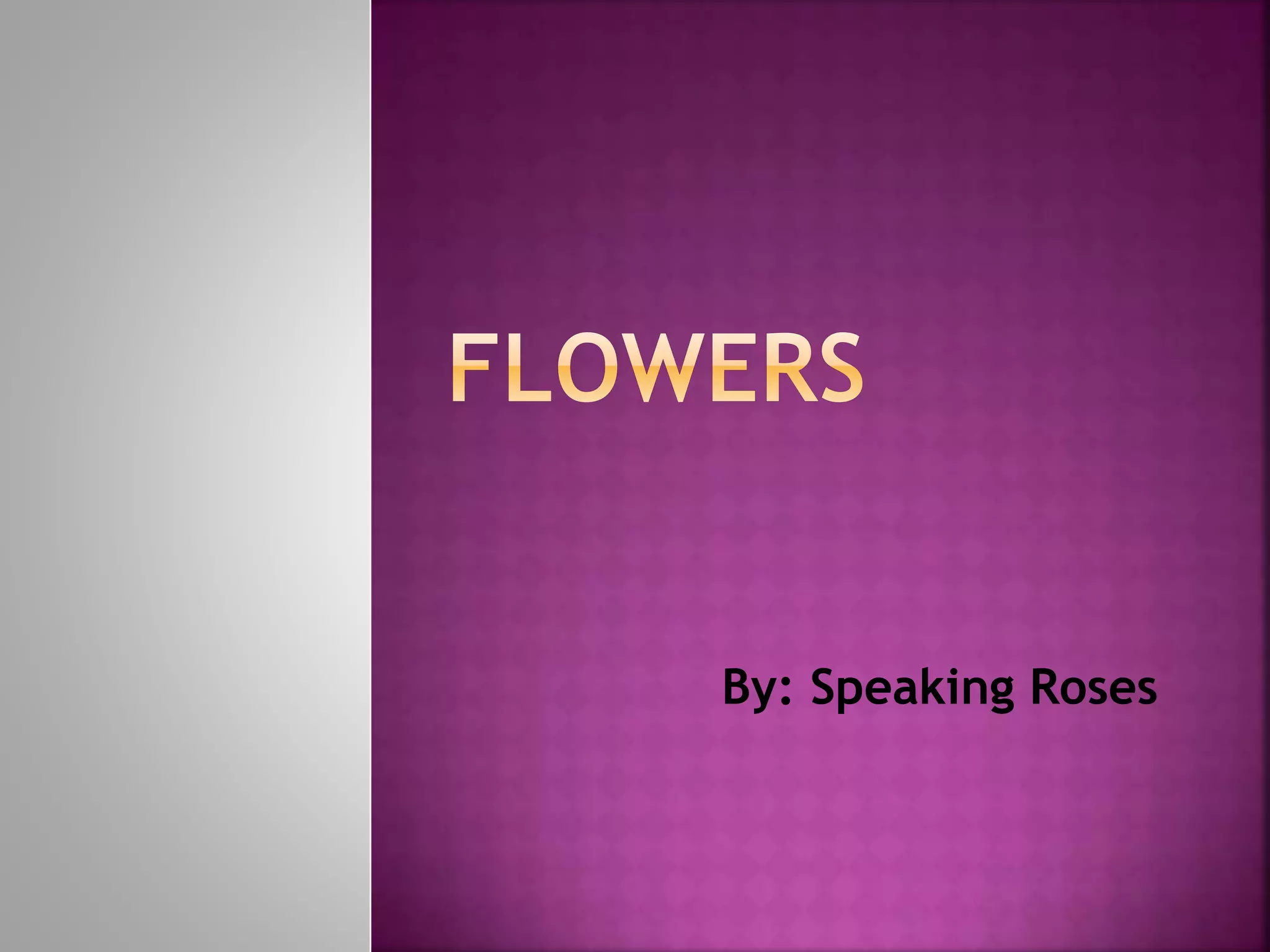 Types of Flowers - Speaking Roses | PPTX