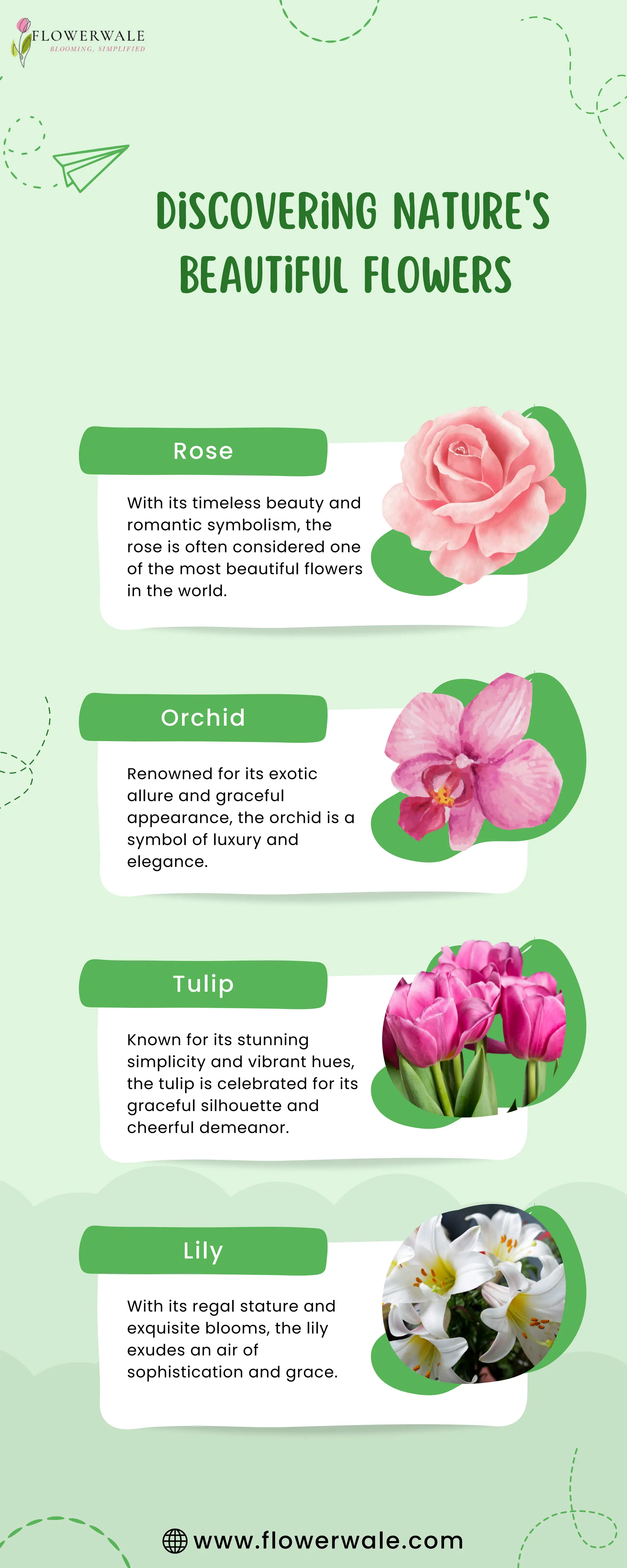 Flower Essences: Exploring Nature's Beauty | PDF