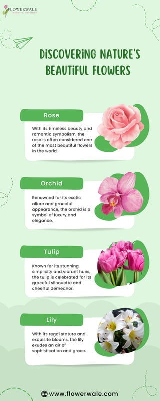 Flower Essences: Exploring Nature's Beauty | PDF