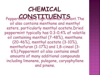 Flowers activity | PPT