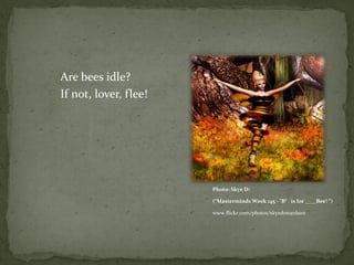Palindrome.Flowers and Bees. | PDF