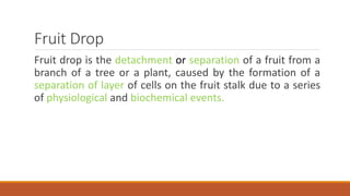 Flowers and Fruits drop in Citrus | PPTX