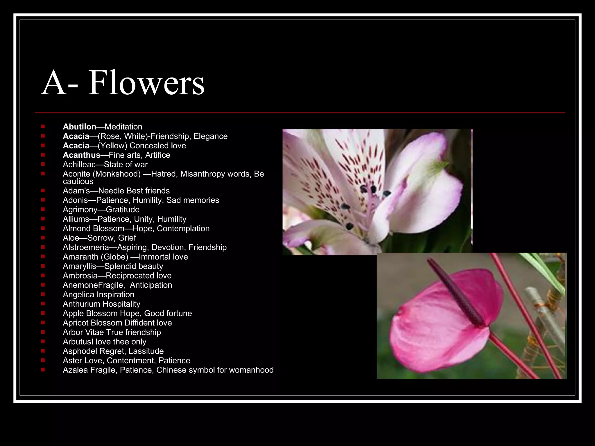 Flowers and Their Hidden Meanings | PPT