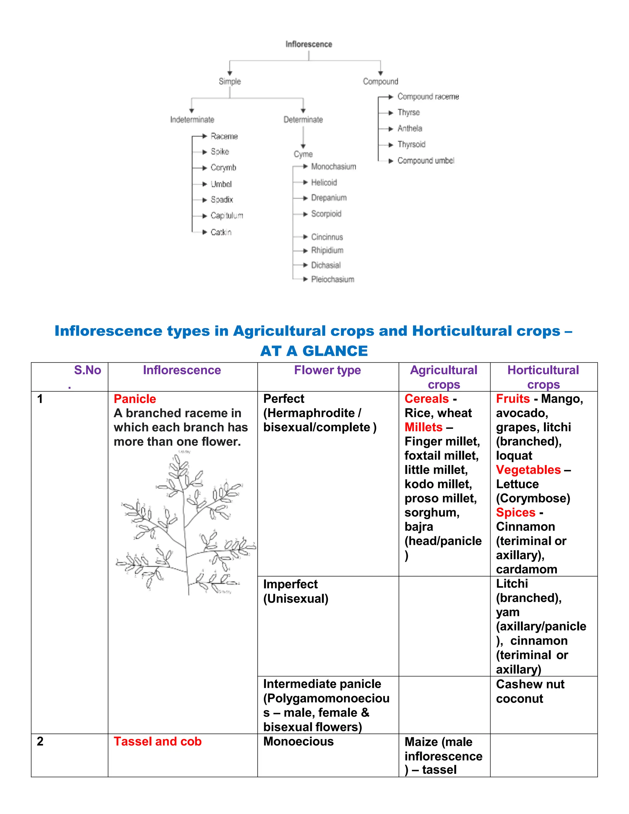 Flowers and their structures.pptx