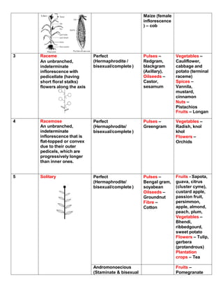 Flowers and their structures.pptx