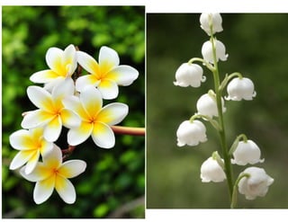 Flowers for negative space drawings 9th grade art | PDF