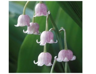 Flowers for negative space drawings 9th grade art | PDF