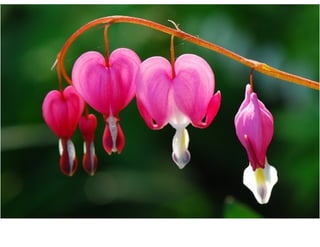 Flowers for negative space drawings 9th grade art | PDF