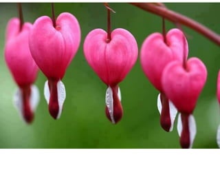 Flowers for negative space drawings 9th grade art | PDF