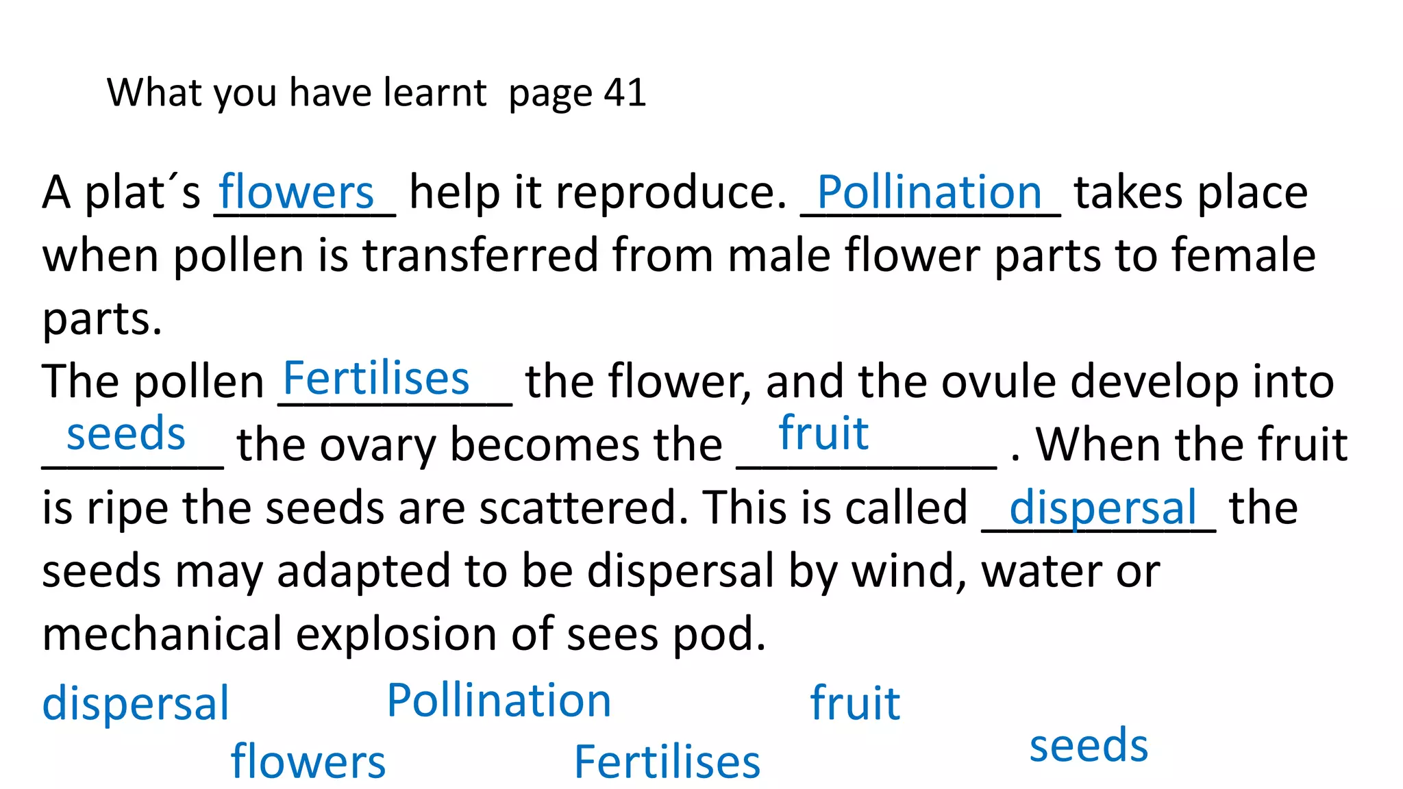 Flowers fruits and_seeds | PPTX