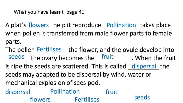 Flowers fruits and_seeds | PPTX