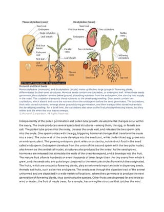 kinds of flowers | DOCX