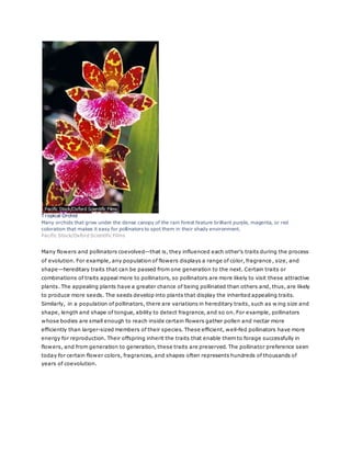 kinds of flowers | DOCX