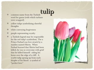 Flowers of the handmaid's tale | PPT