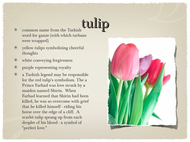 Flowers of the handmaid's tale | PPT