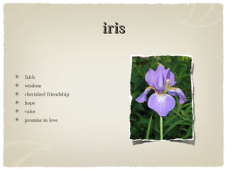 Flowers of the handmaid's tale | PPT