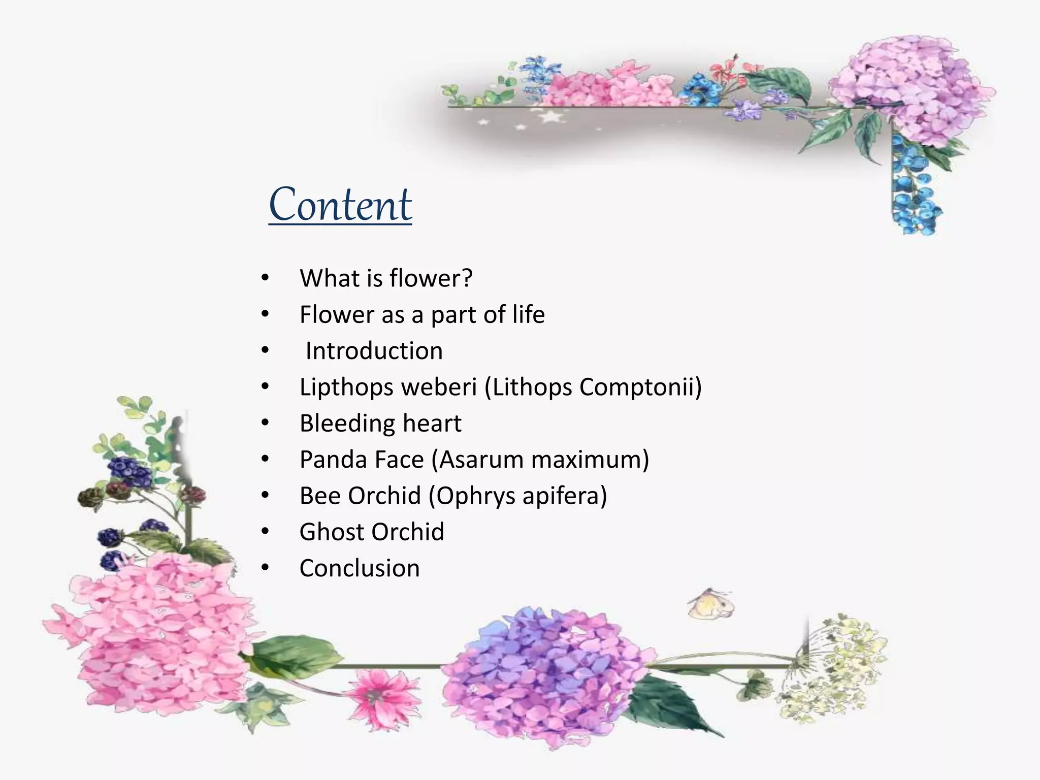 Flowers ppt | PPTX