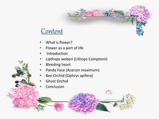 Flowers ppt | PPTX