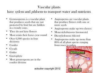 Flowers the angiosperm powerpt2012 | PPT