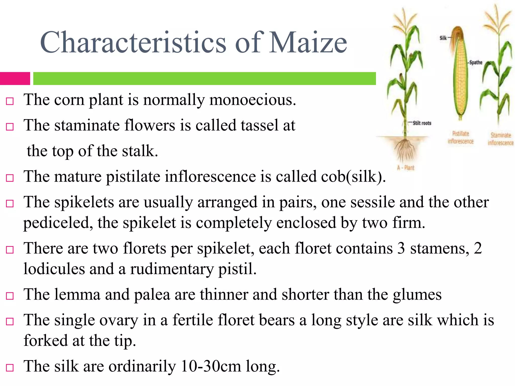 Flower structure | PPTX