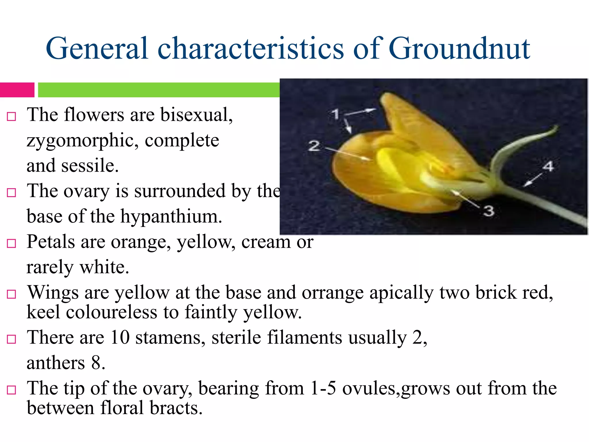 Flower structure | PPTX