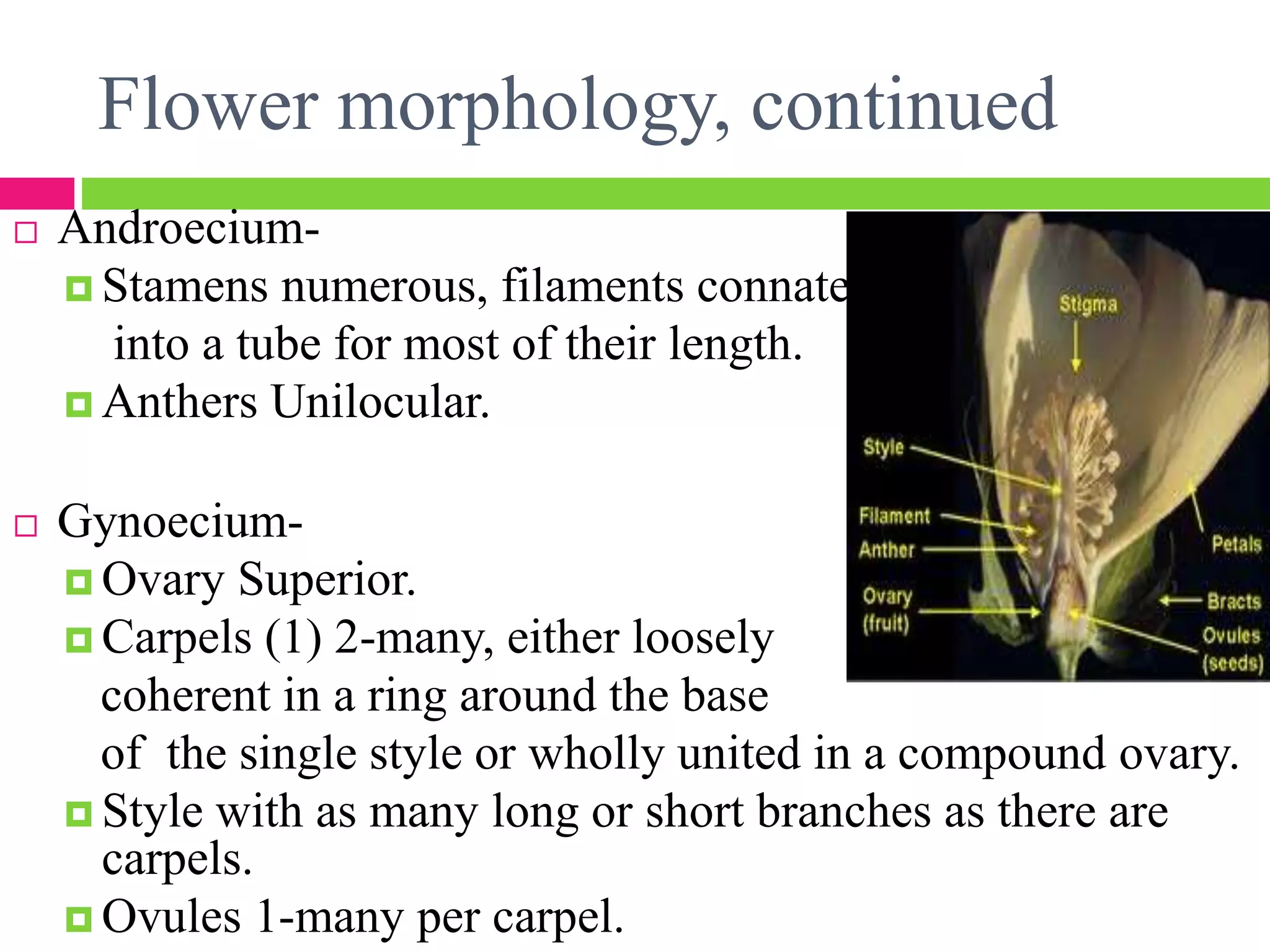 Flower structure | PPTX