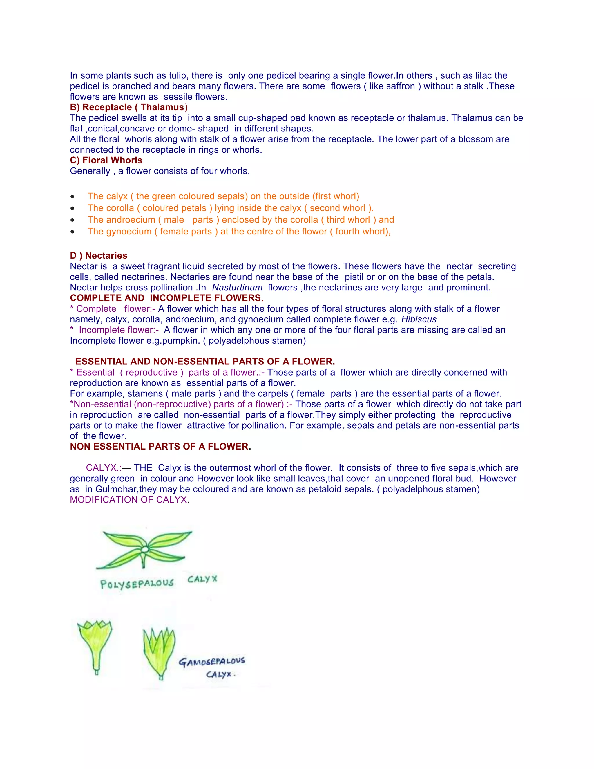 FLOWER STRUCTURE.docx