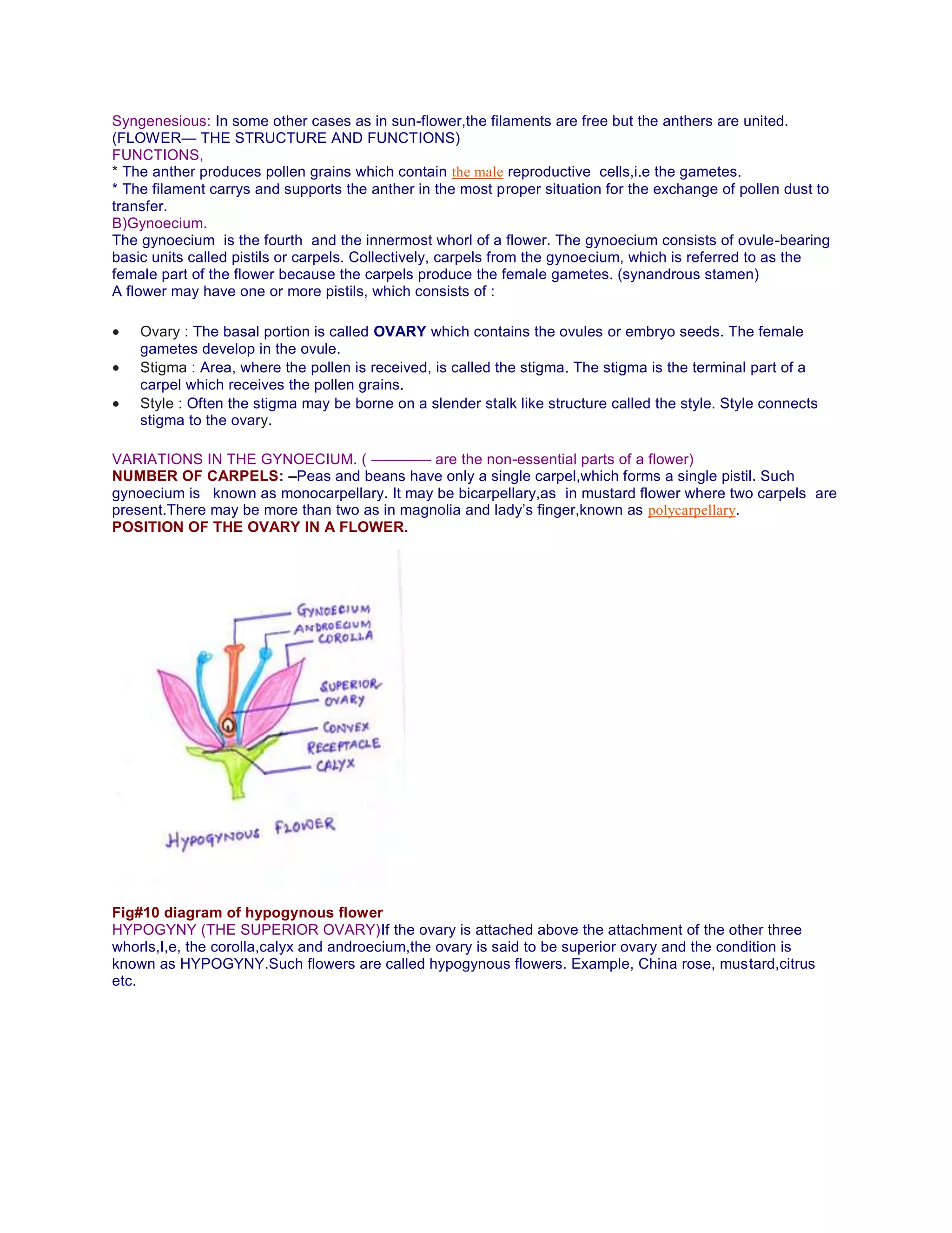 FLOWER STRUCTURE.docx