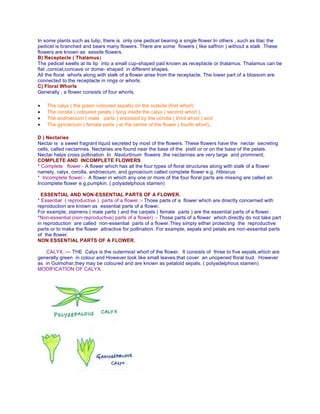FLOWER STRUCTURE.docx