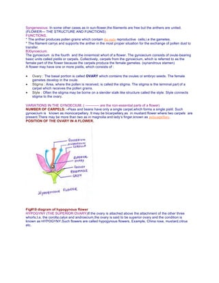 FLOWER STRUCTURE.docx