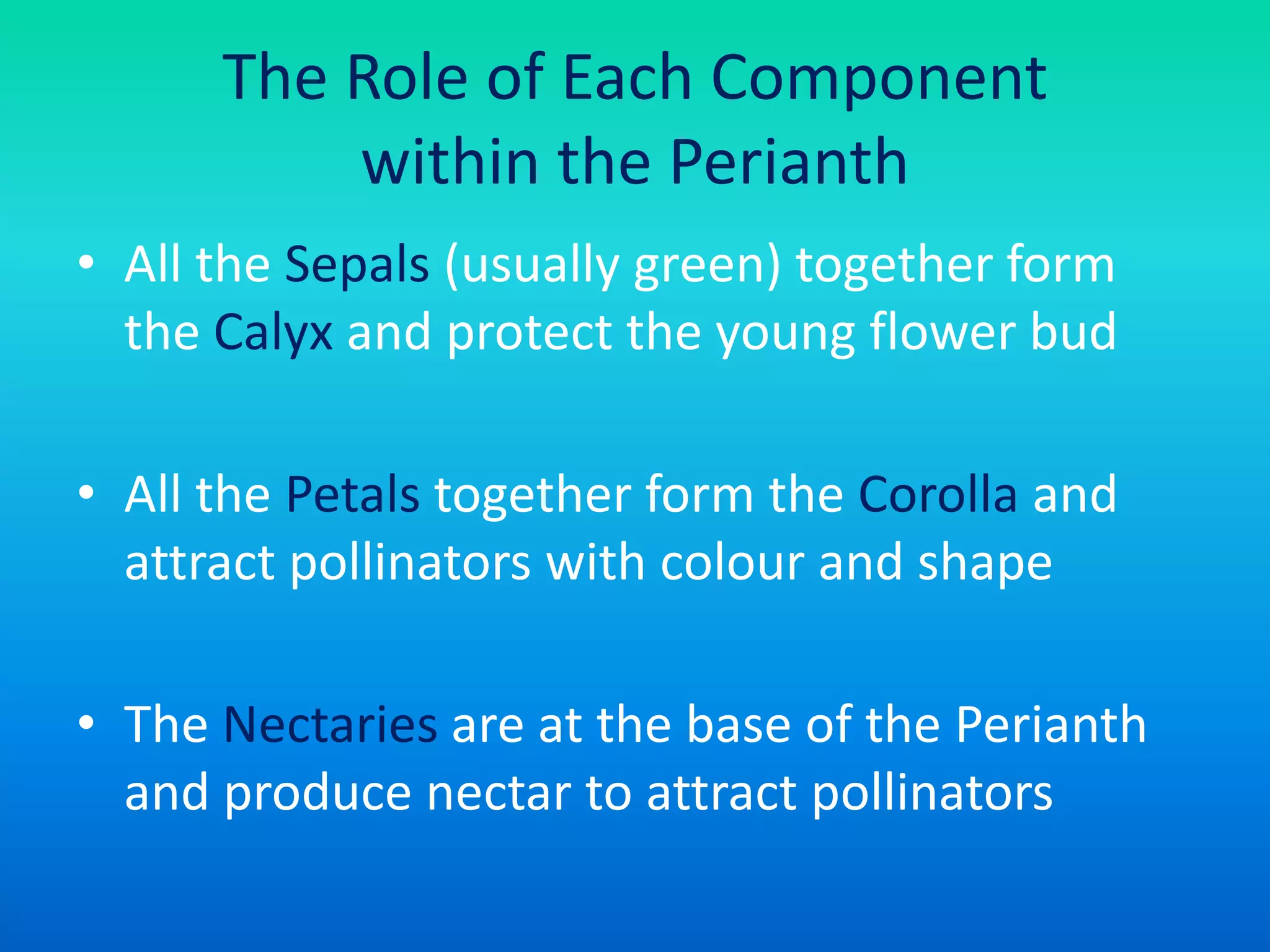 Flower structure, pollination, fertilization | PPTX