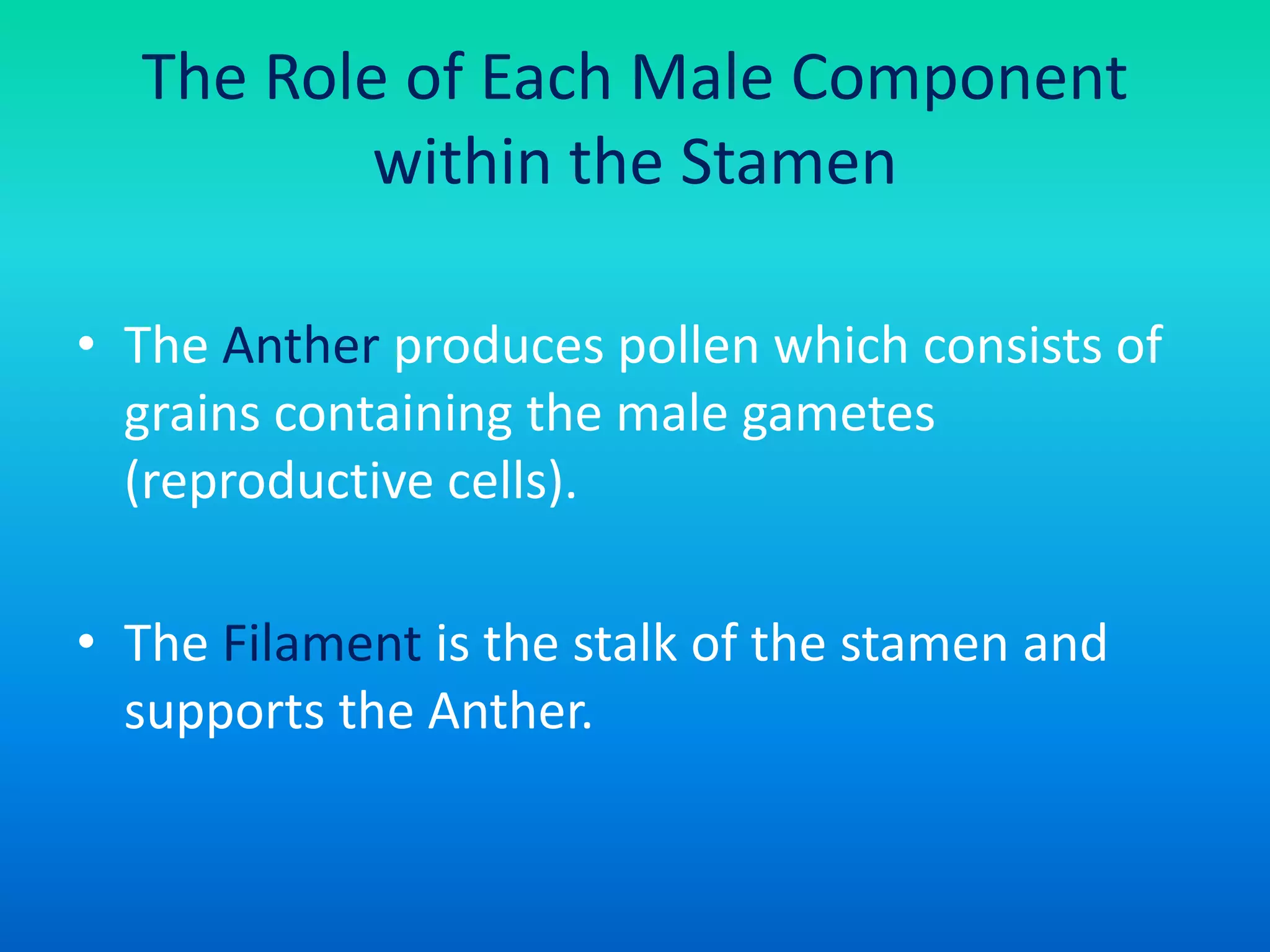 Flower structure, pollination, fertilization | PPTX