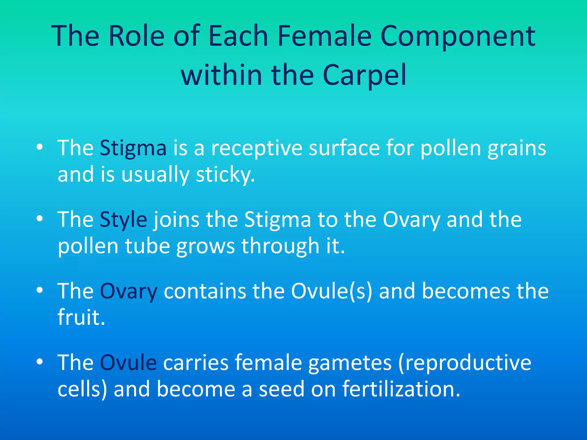 Flower structure, pollination, fertilization | PPTX