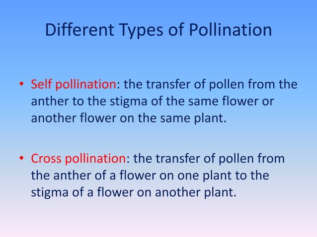 Flower structure, pollination, fertilization | PPTX | Beekeeping ...