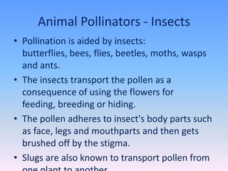 Flower structure, pollination, fertilization | PPTX