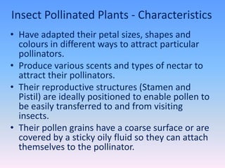 Flower structure, pollination, fertilization | PPTX
