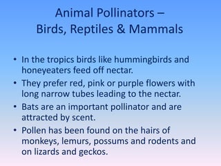 Flower structure, pollination, fertilization | PPTX