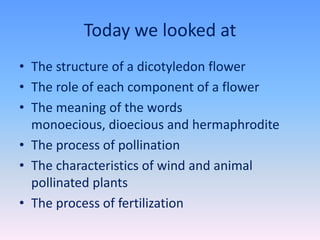 Flower structure, pollination, fertilization | PPTX