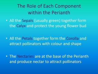 Flower structure, pollination, fertilization | PPTX