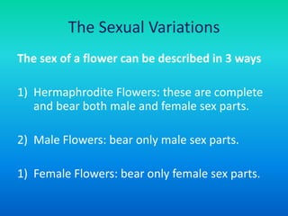 Flower structure, pollination, fertilization | PPTX