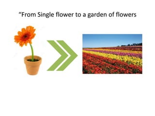 Flower Theory in sustainability | PPTX