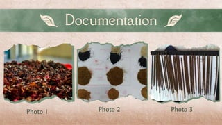 FLOWER WASTE MANAGEMENT PRESENTATION_20231107_205705_0000.pptx